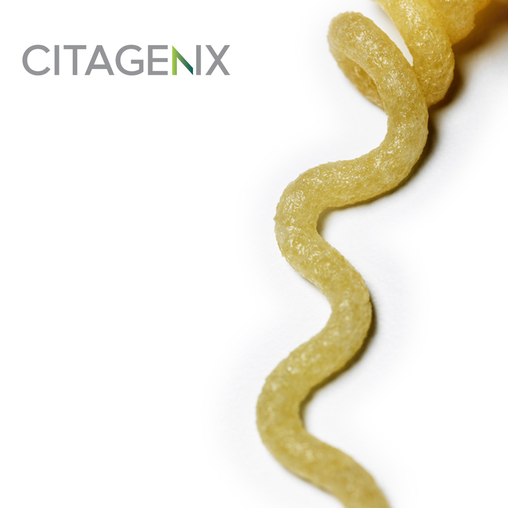 HANSAmed Limited. DynaGraft D®