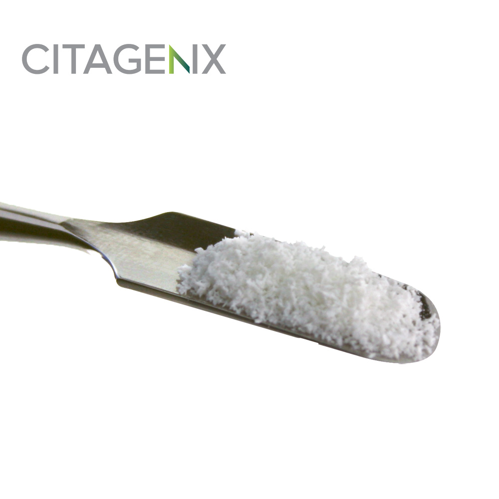 HANSAmed Limited. THE Graft