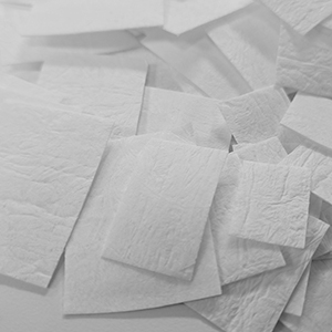 HANSAmed Limited. Membranes